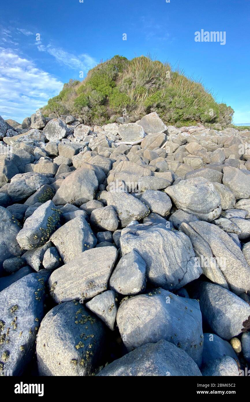 Monkey bay hi-res stock photography and images - Alamy