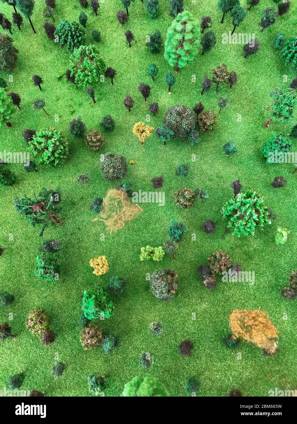 Top down from above view of miniature forest and landscaping of scale ...