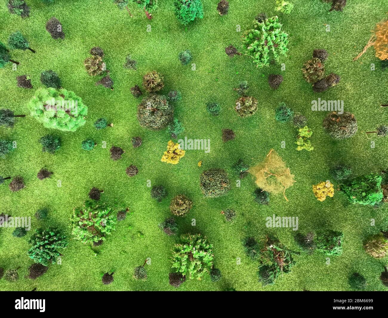 Top down from above view of miniature forest and landscaping of scale ...