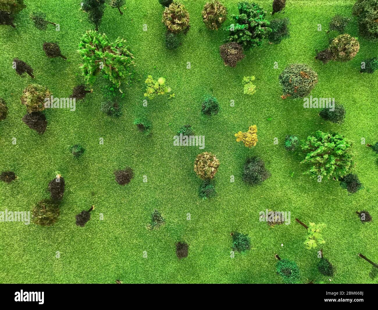 Top down from above view of miniature forest and landscaping of scale ...