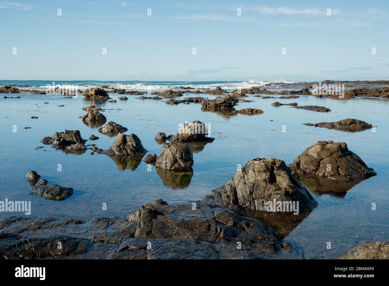 Ancient trees new zealand hi-res stock photography and images - Alamy