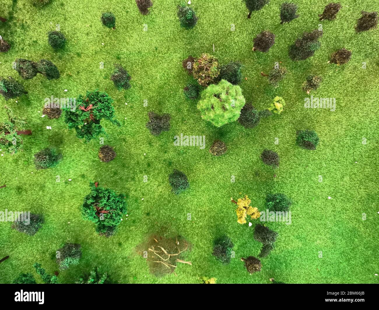 Top down from above view of miniature forest and landscaping of scale ...