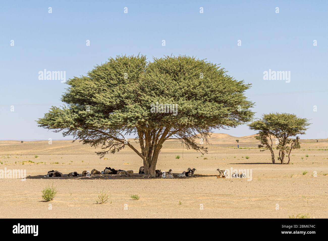 Marokko schatten hi-res stock photography and images - Alamy