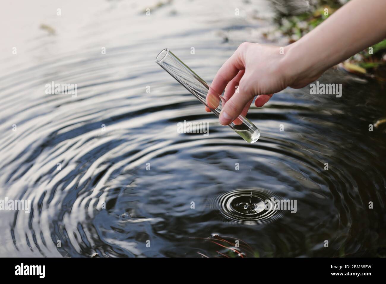 Water sample. Hand collects water to explore. Concept - water purity ...