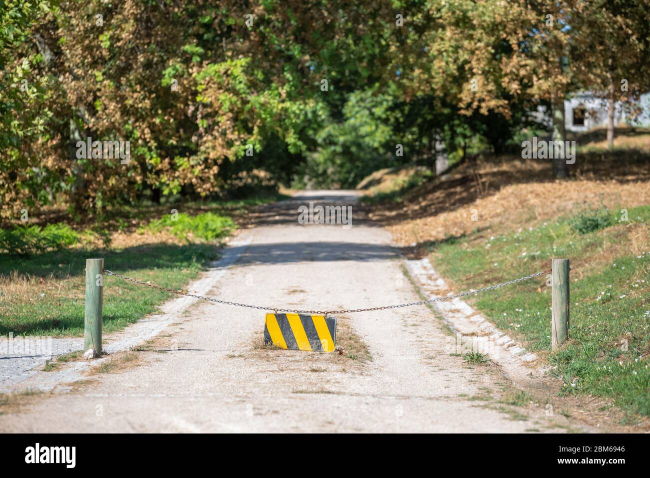 Pedestrian and cycle eco path, trees and vegetation Stock Photo - Alamy
