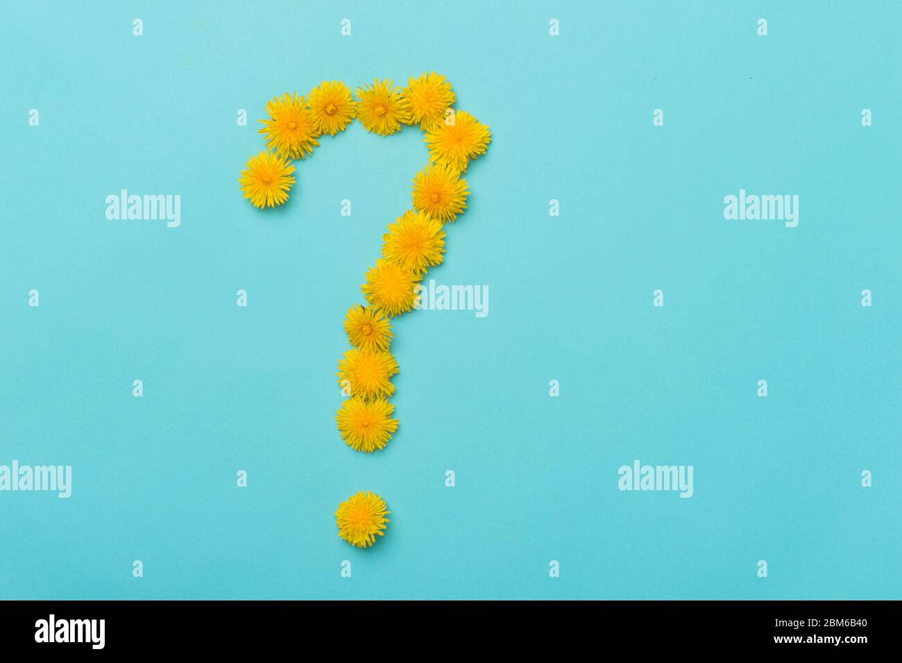 Question mark made from flowers on blue background. Spring time Stock ...