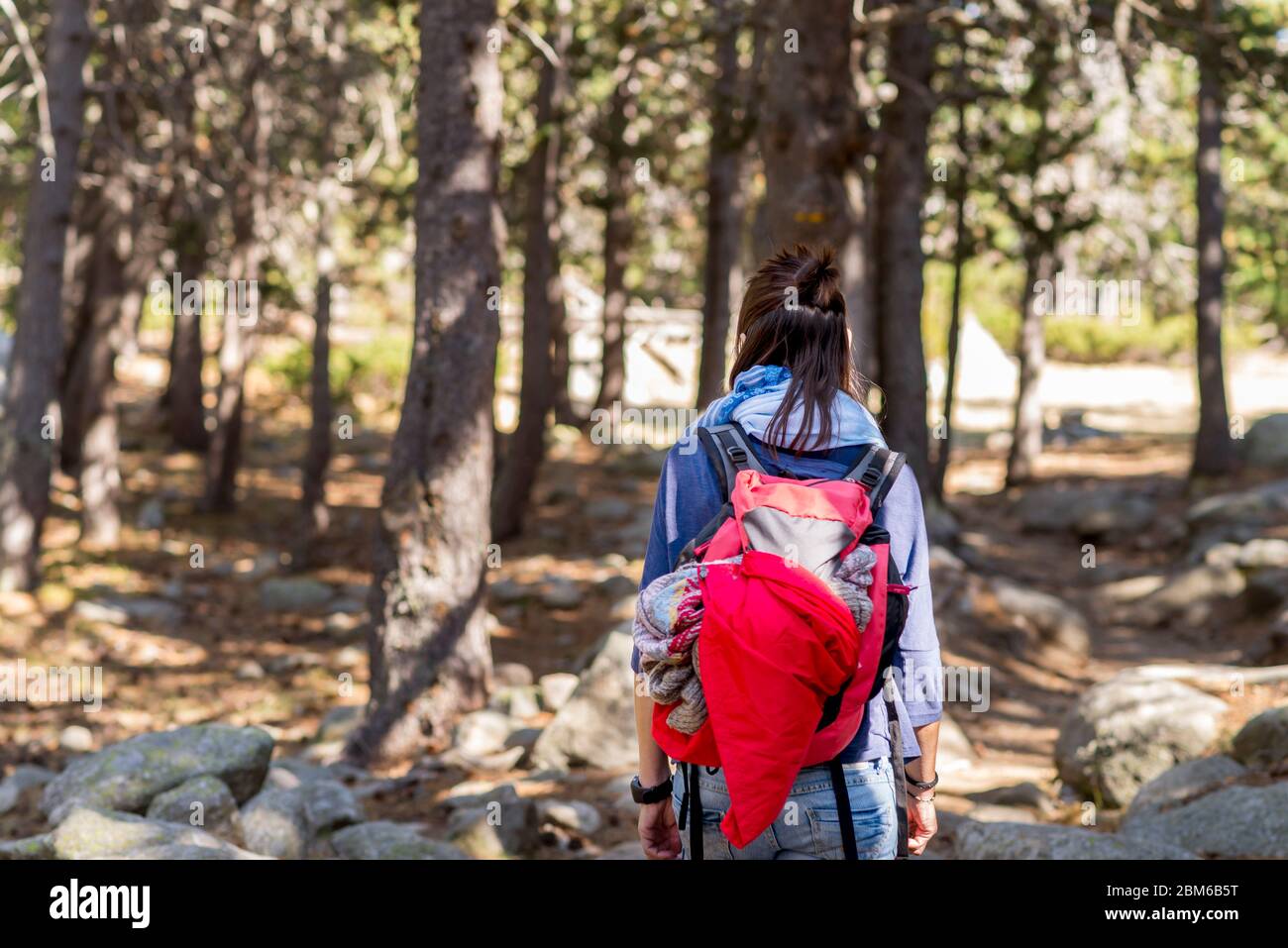 Back view of a backpacker woman hiking Stock Photo - Alamy