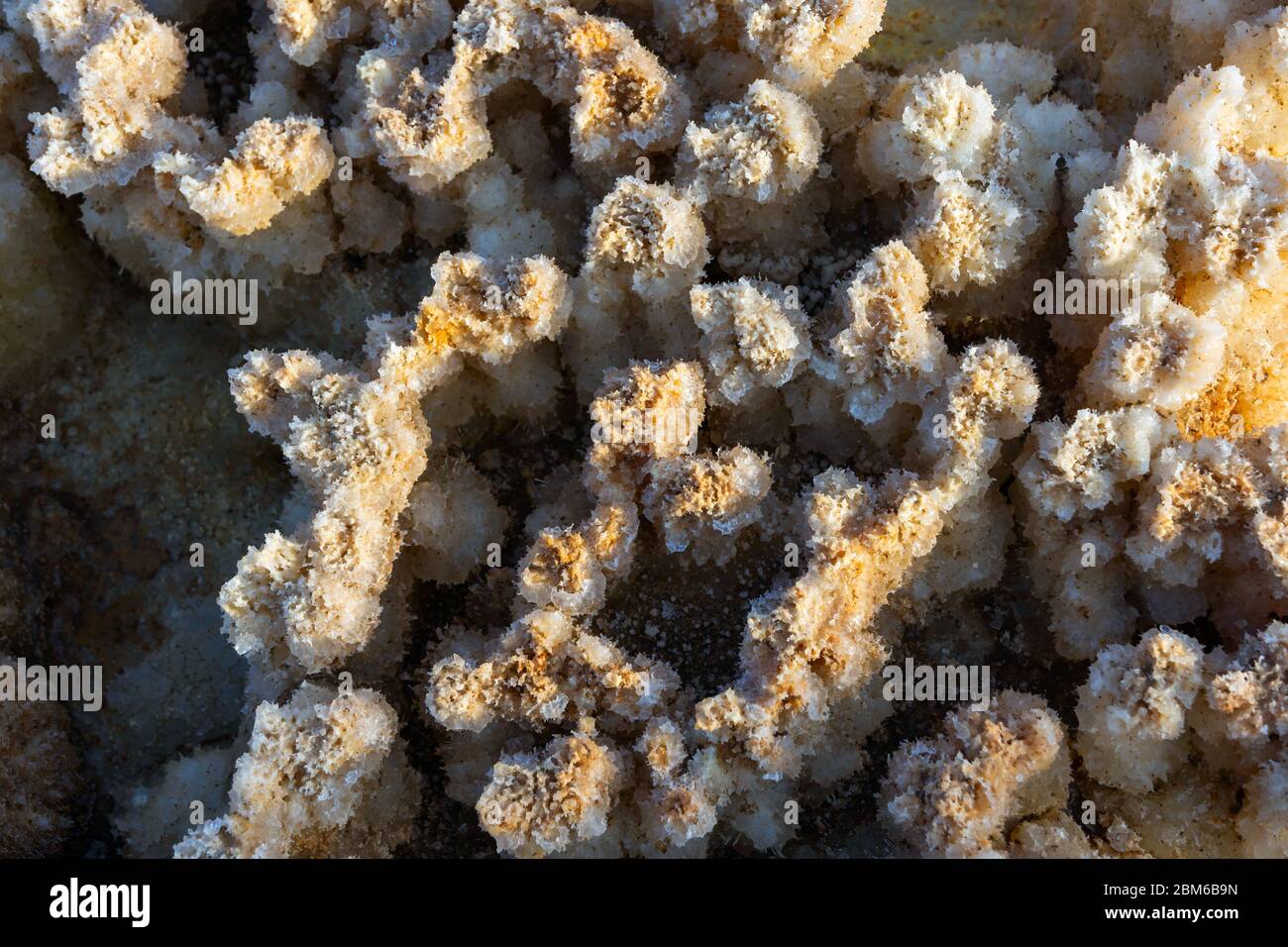 Close up of crystals of Dallol terrestrial hydrothermal system in ...