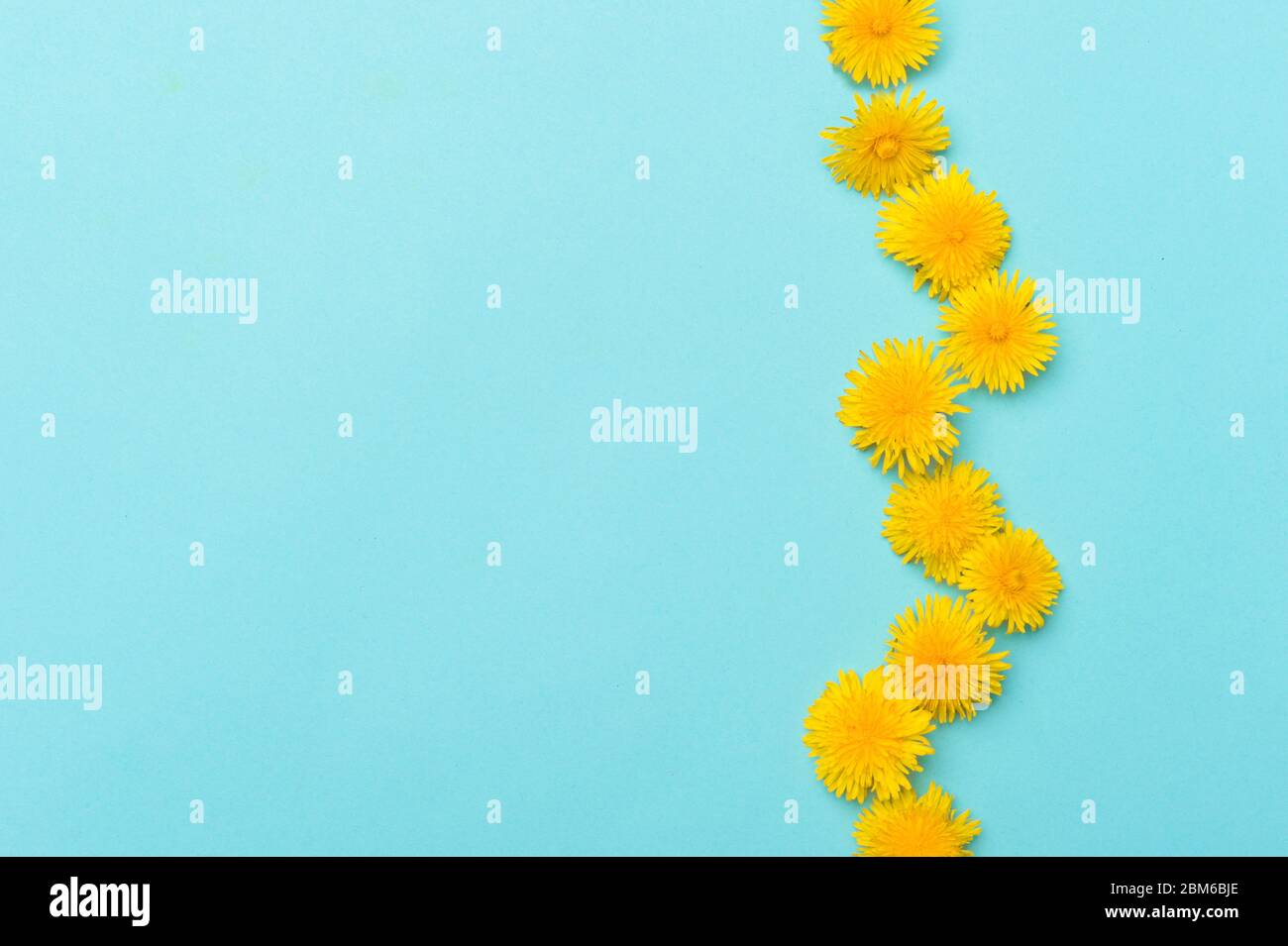 Dandelion top hi-res stock photography and images - Alamy