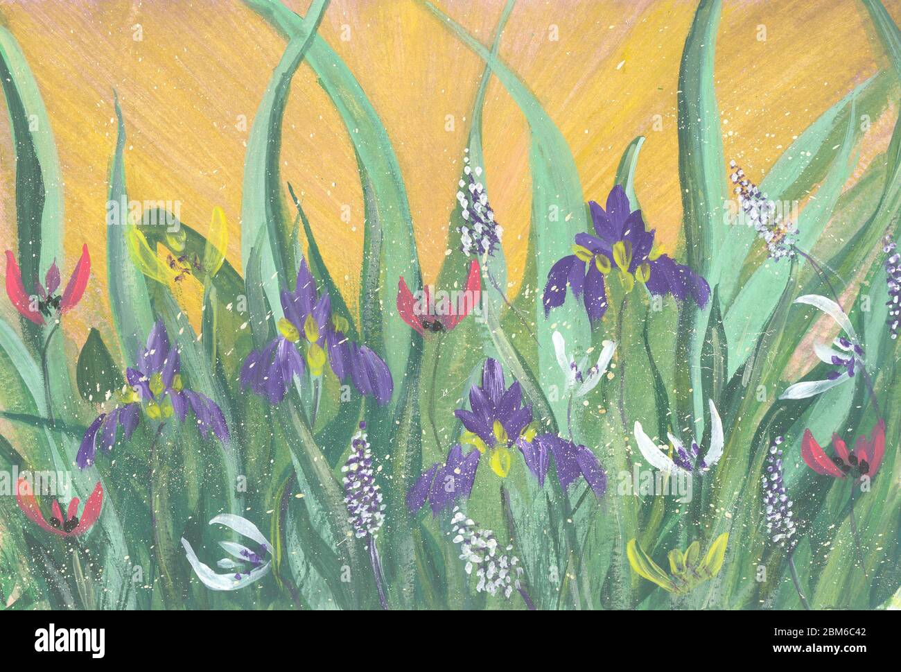 Violet iris flowers in garden. Picture created with watercolors ...