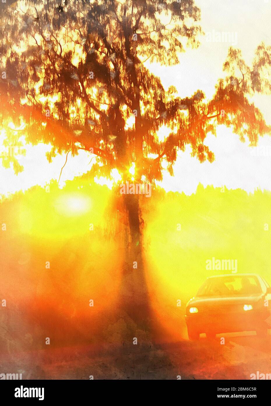 Beautiful sunshine through the trees with fog colorful painting looks ...