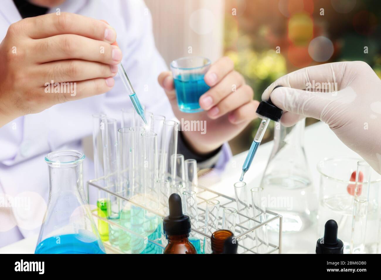 Team of researcher or scientists working in laboratory. Researcher or ...