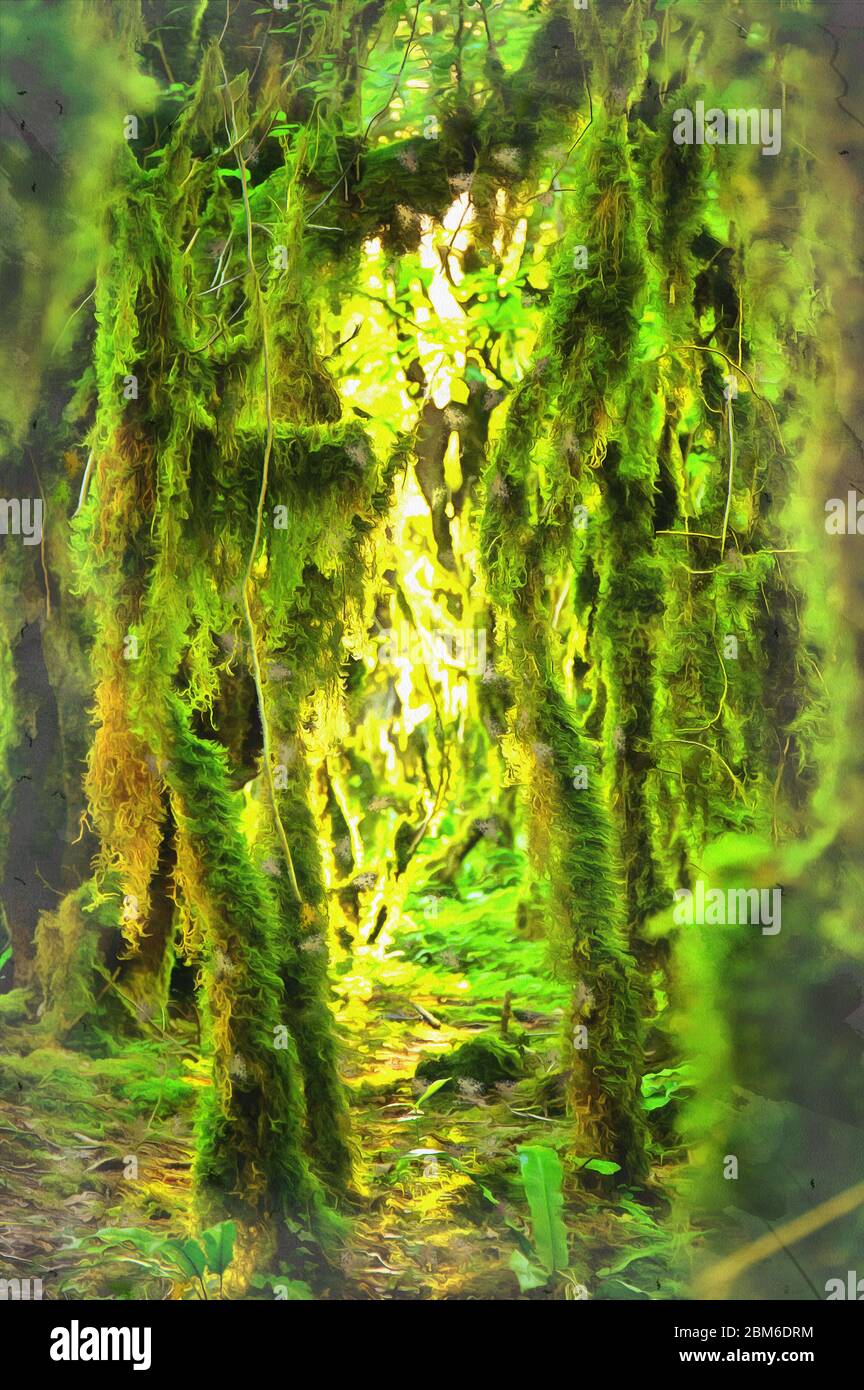 Forest scene with mossy trees and sun beams colorful painting looks ...