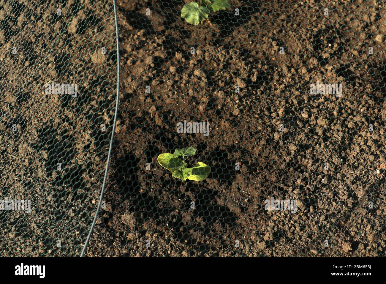 Field cultivation farm land Stock Photo - Alamy