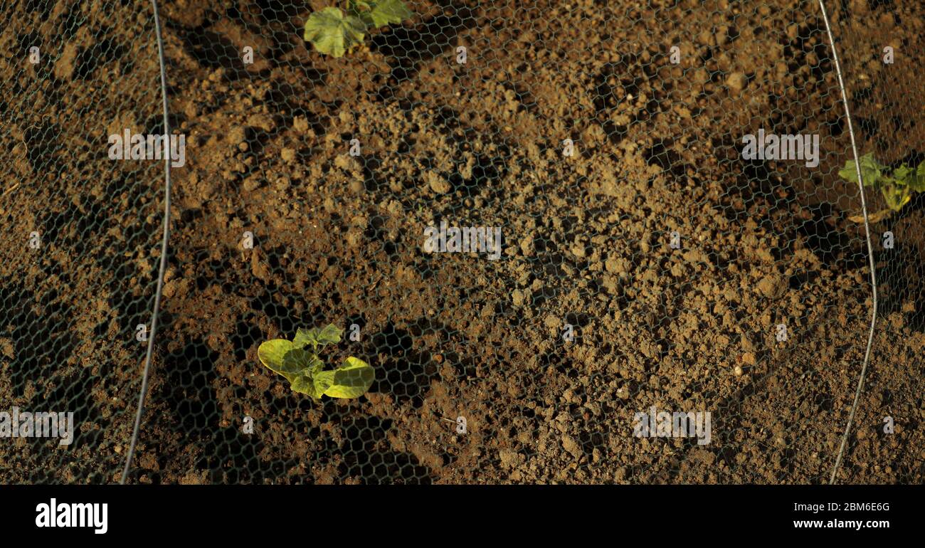 Field cultivation farm land Stock Photo - Alamy