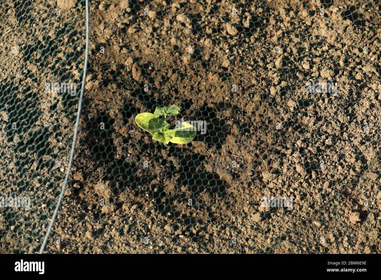 Field cultivation farm land Stock Photo - Alamy