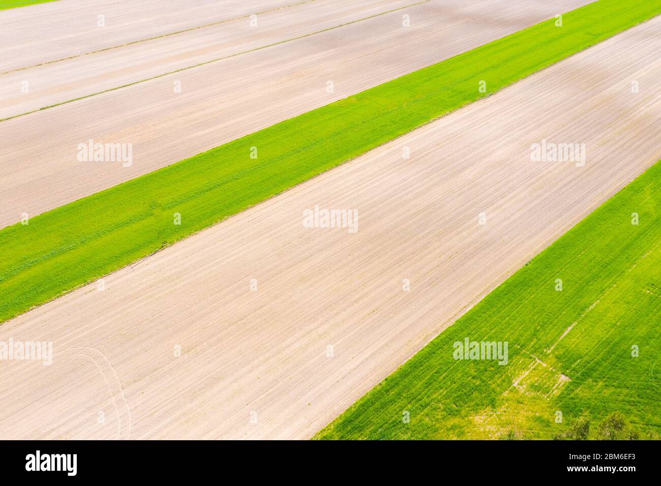 Vertical stripes of agricultural parcels of different crops. Aerial ...