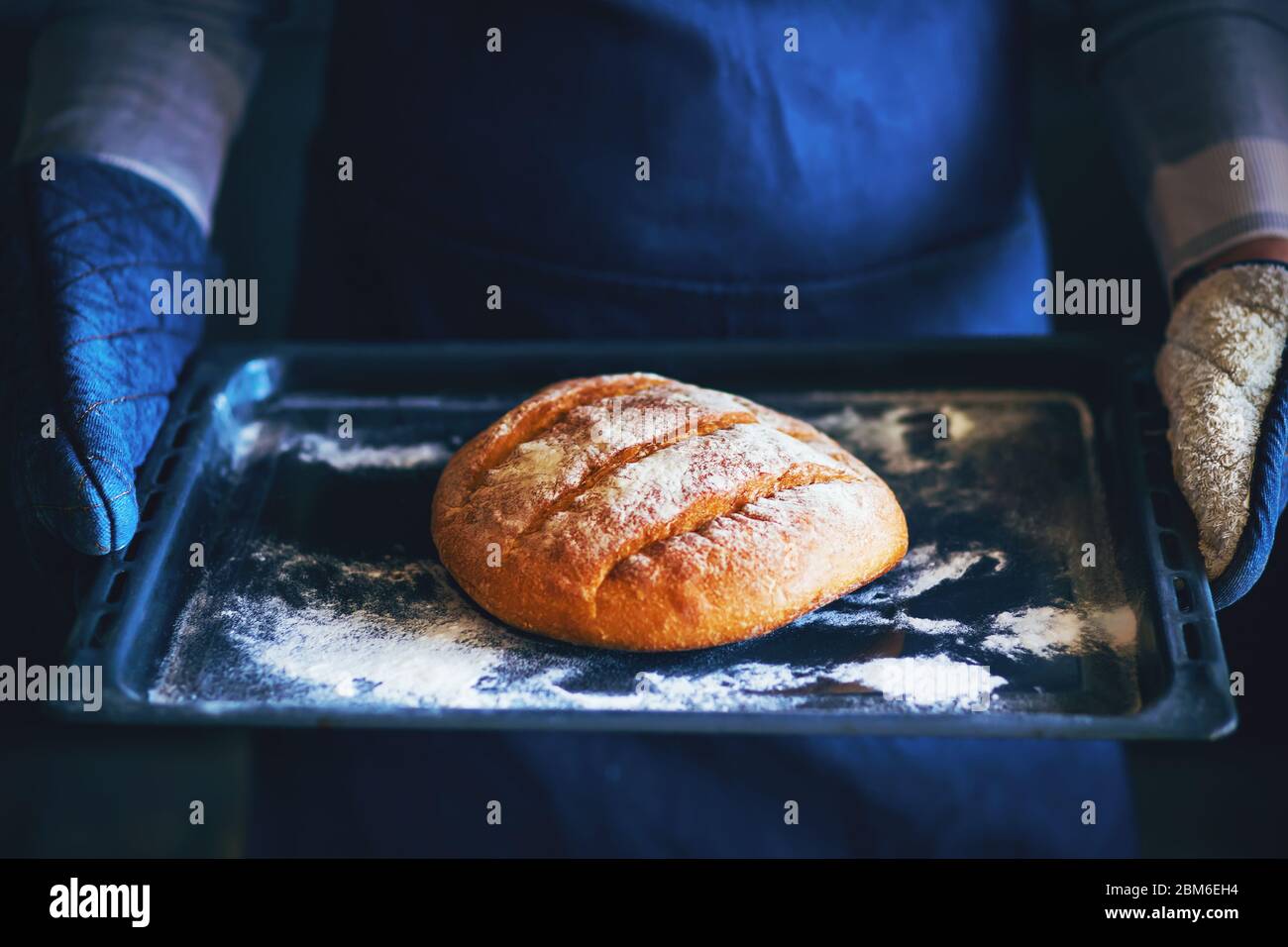 Chef blue glove prepared bread hi-res stock photography and images - Alamy