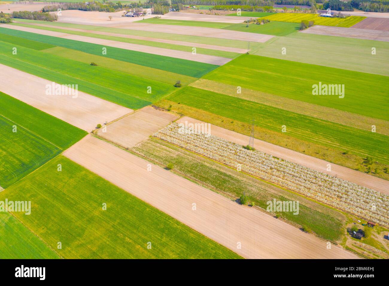 Vertical stripes of agricultural parcels of different crops. Aerial ...