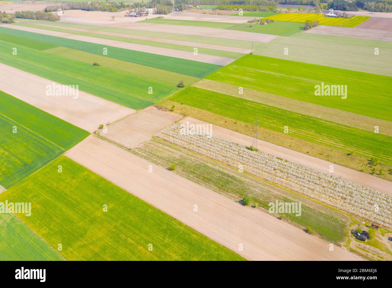 Vertical stripes of agricultural parcels of different crops. Aerial ...