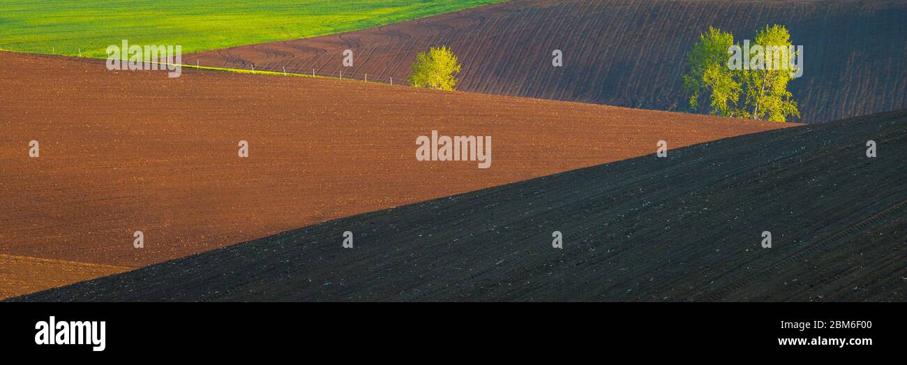 Trees in the fields of Turiec region in northern Slovakia Stock Photo ...