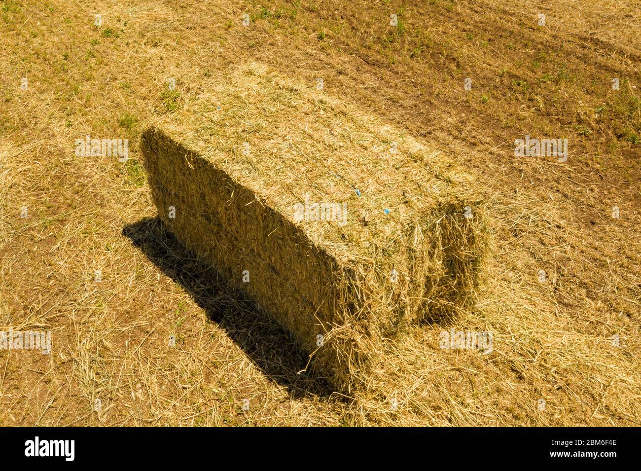 Square Hay bale in a field Stock Photo - Alamy