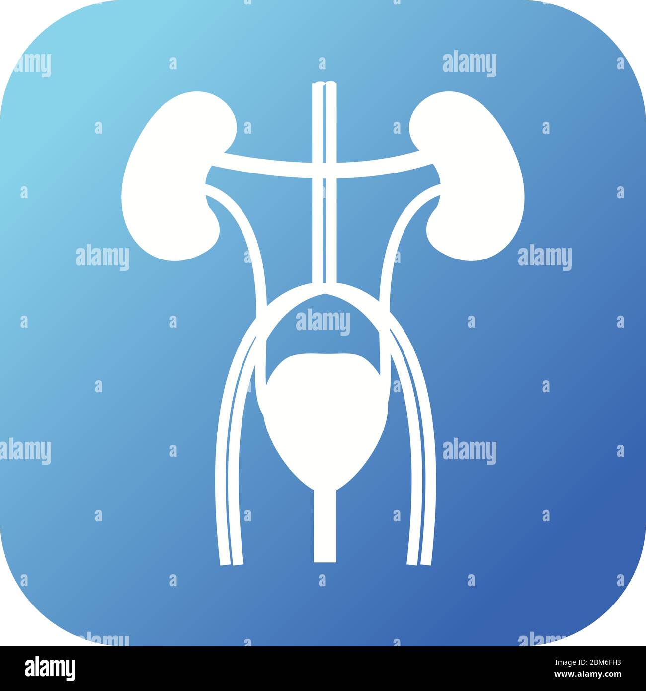 Beautiful Excretory Vector Glyph icon Stock Vector Image & Art - Alamy