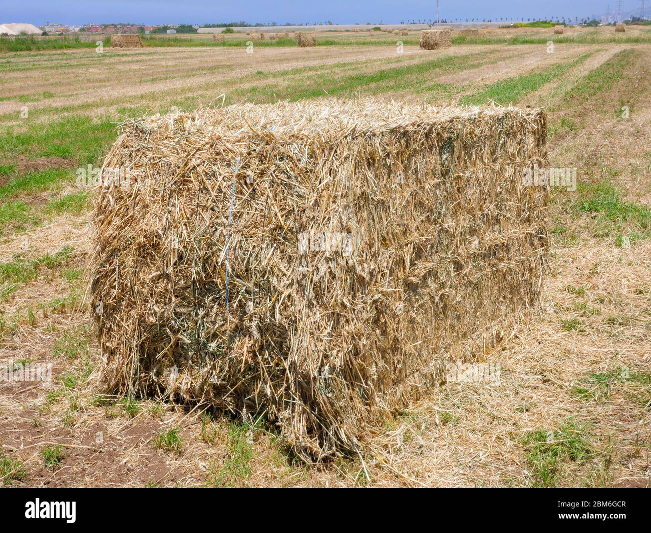 Square Hay bale in a field Stock Photo - Alamy