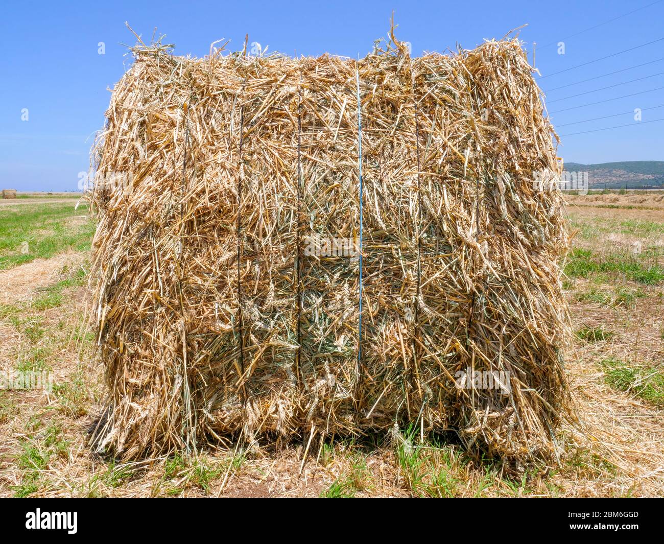 Square Hay bale in a field Stock Photo - Alamy