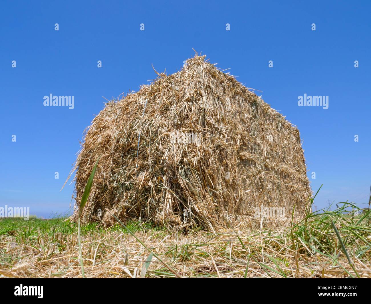Hay bale machine hi-res stock photography and images - Alamy