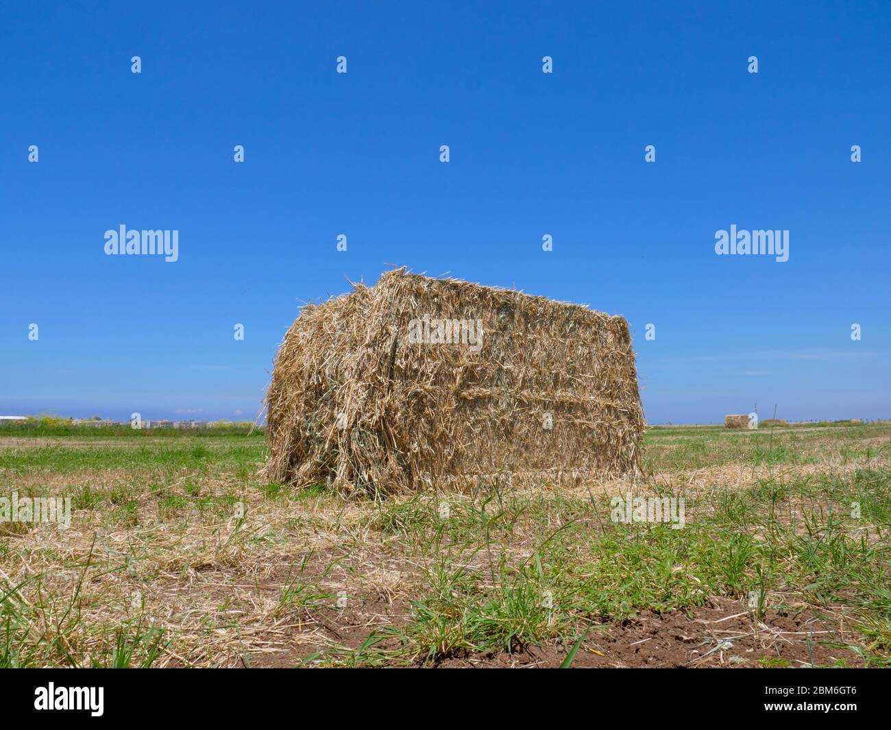 Square Hay bale in a field Stock Photo - Alamy