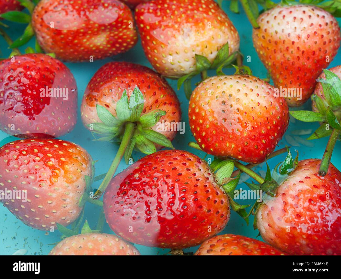 Strawberry Fruit Health , Floating on the water Stock Photo - Alamy