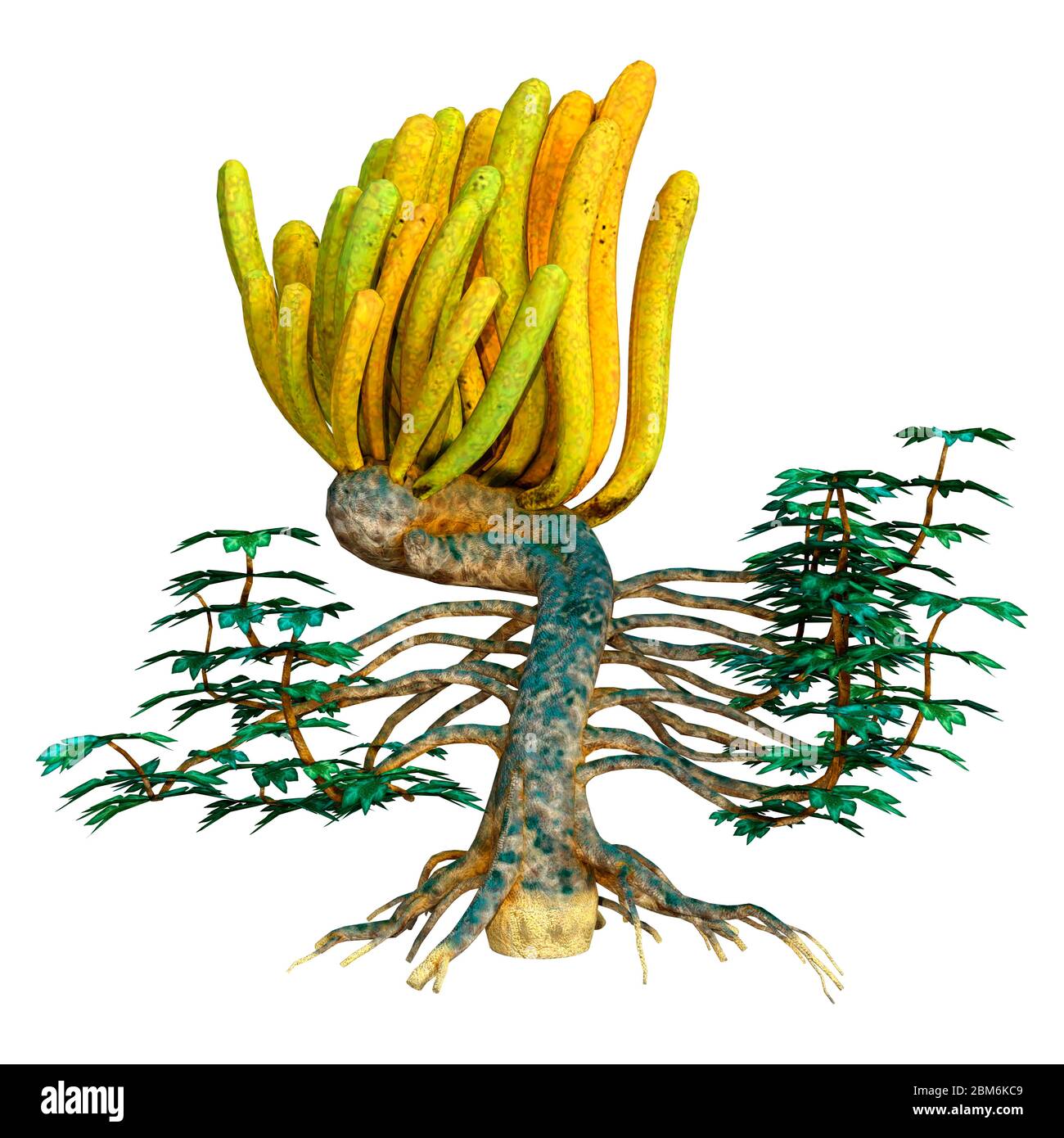 Alien plant hi-res stock photography and images - Alamy