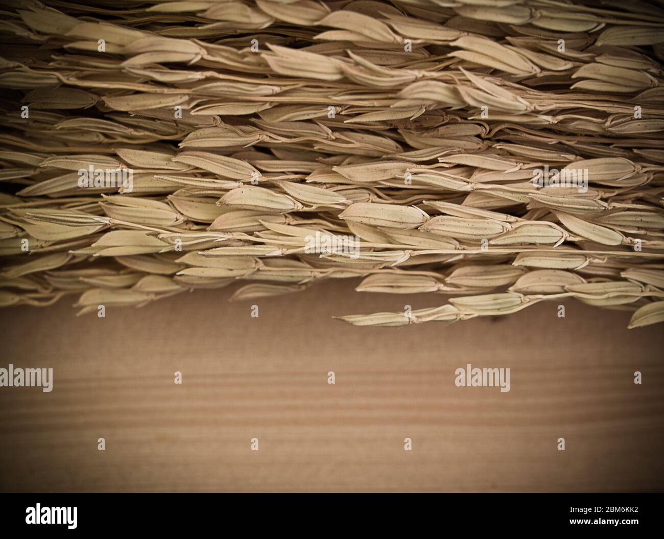 Grain rice healthy food hi-res stock photography and images - Alamy