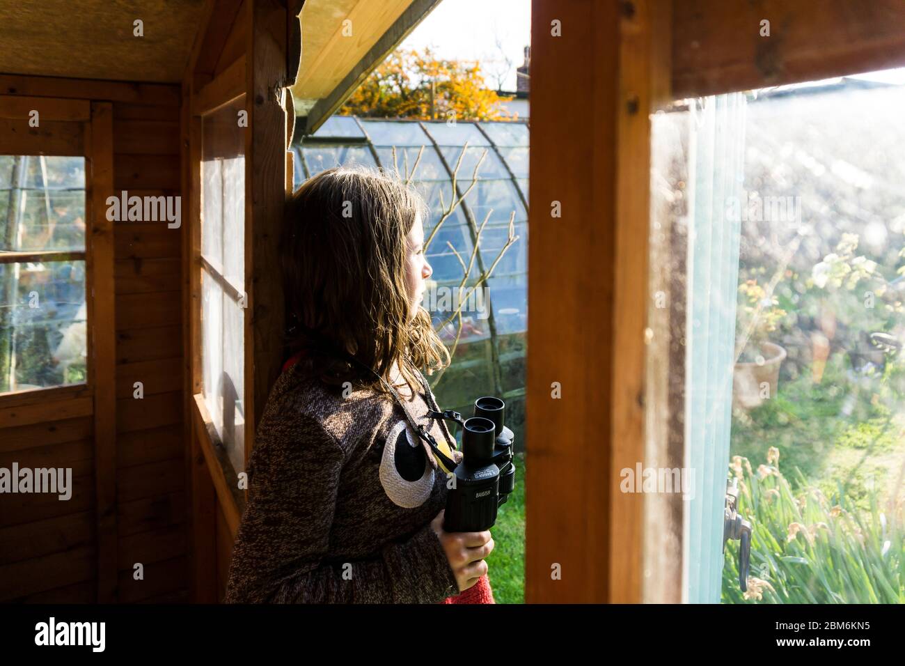 Young girl birdwatching from a garden shed, Kent, UK Stock Photo - Alamy