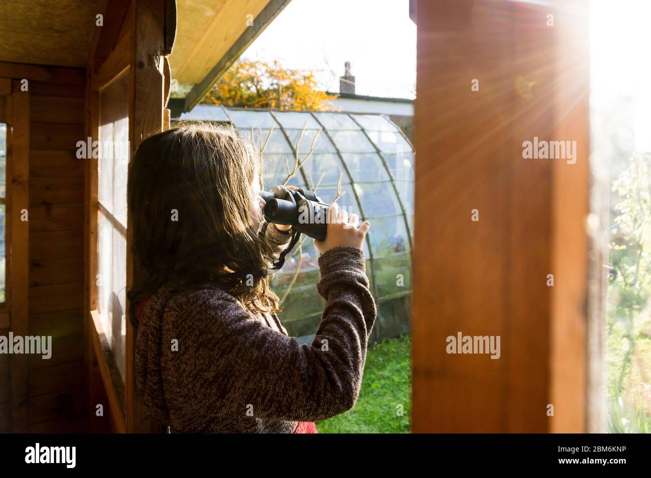 Child birdwatching garden hi-res stock photography and images - Alamy
