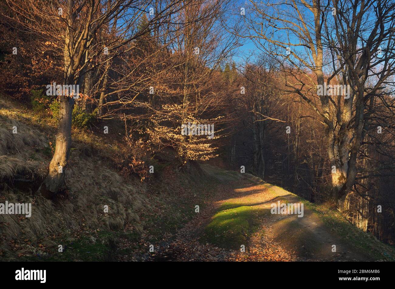 Spring garden road hi-res stock photography and images - Alamy