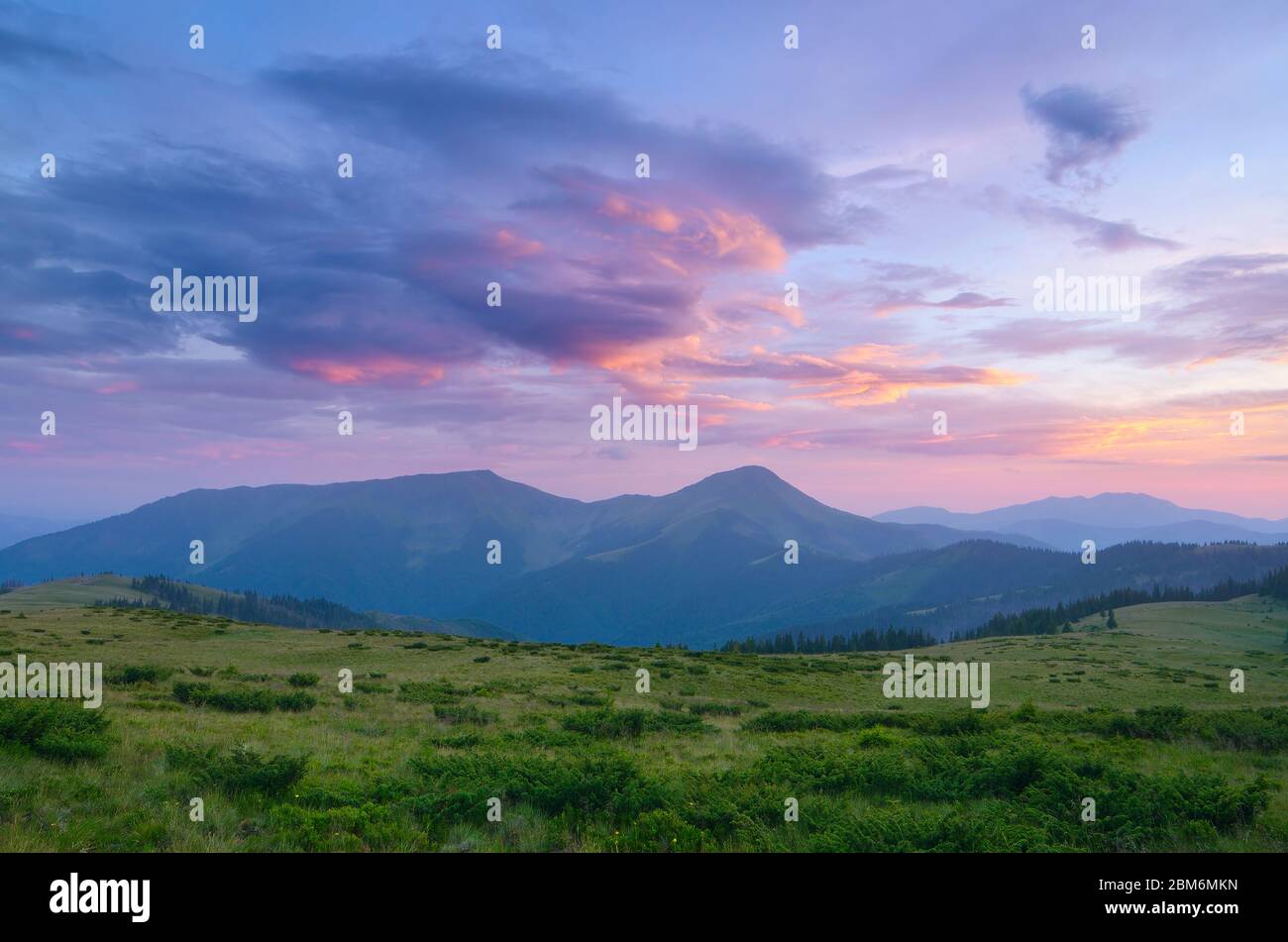 Summer nature scene hi-res stock photography and images - Alamy