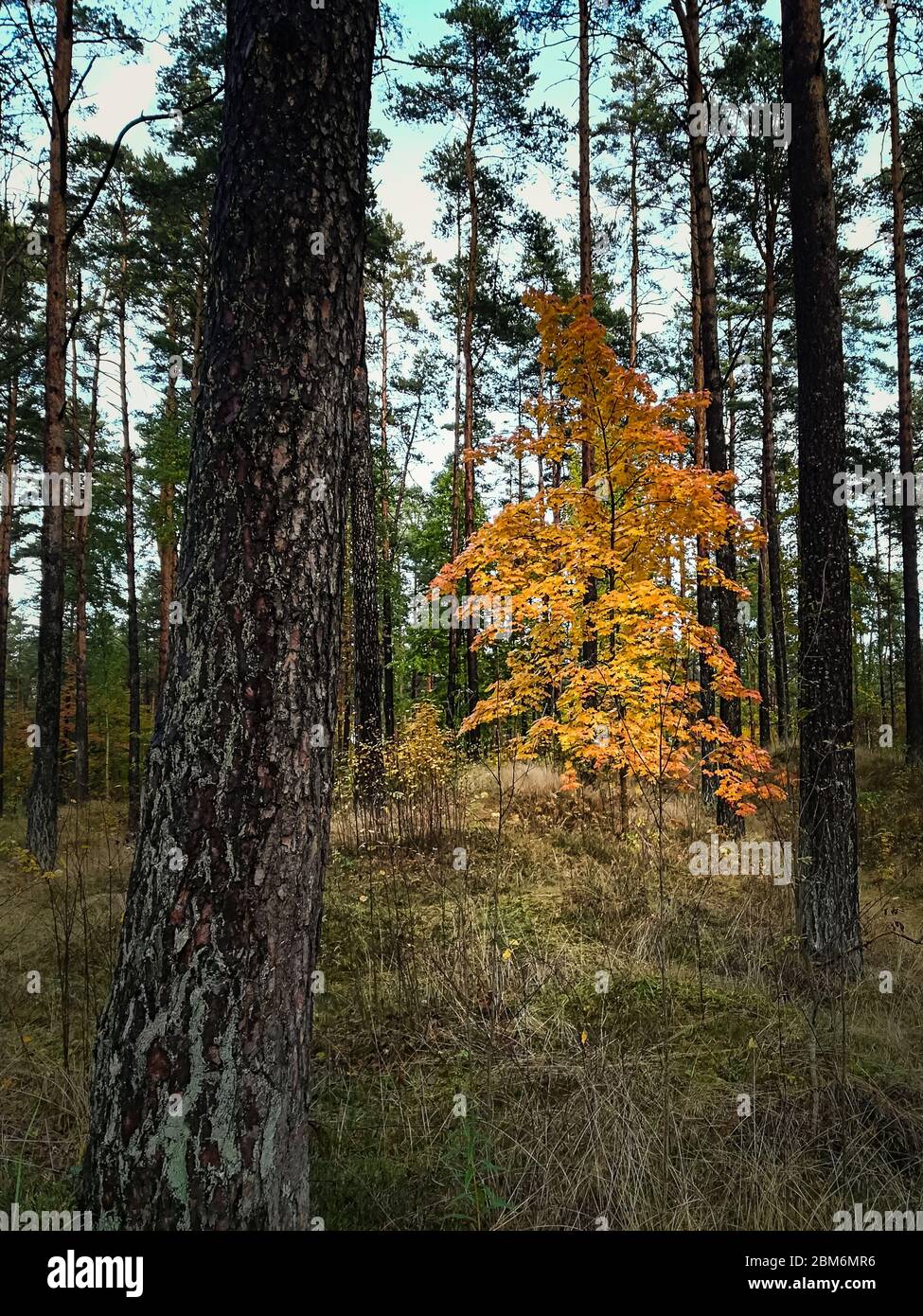 Bright and dull contrast hi-res stock photography and images - Alamy