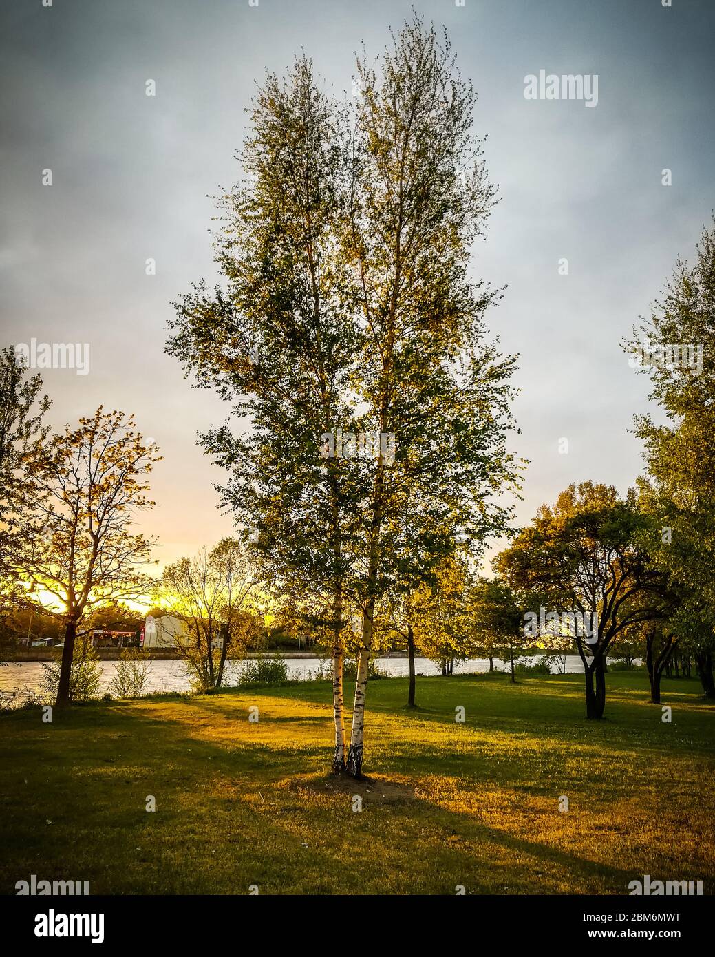 Dramatic high contrast vintage sunset ray of light illuminating twin ...