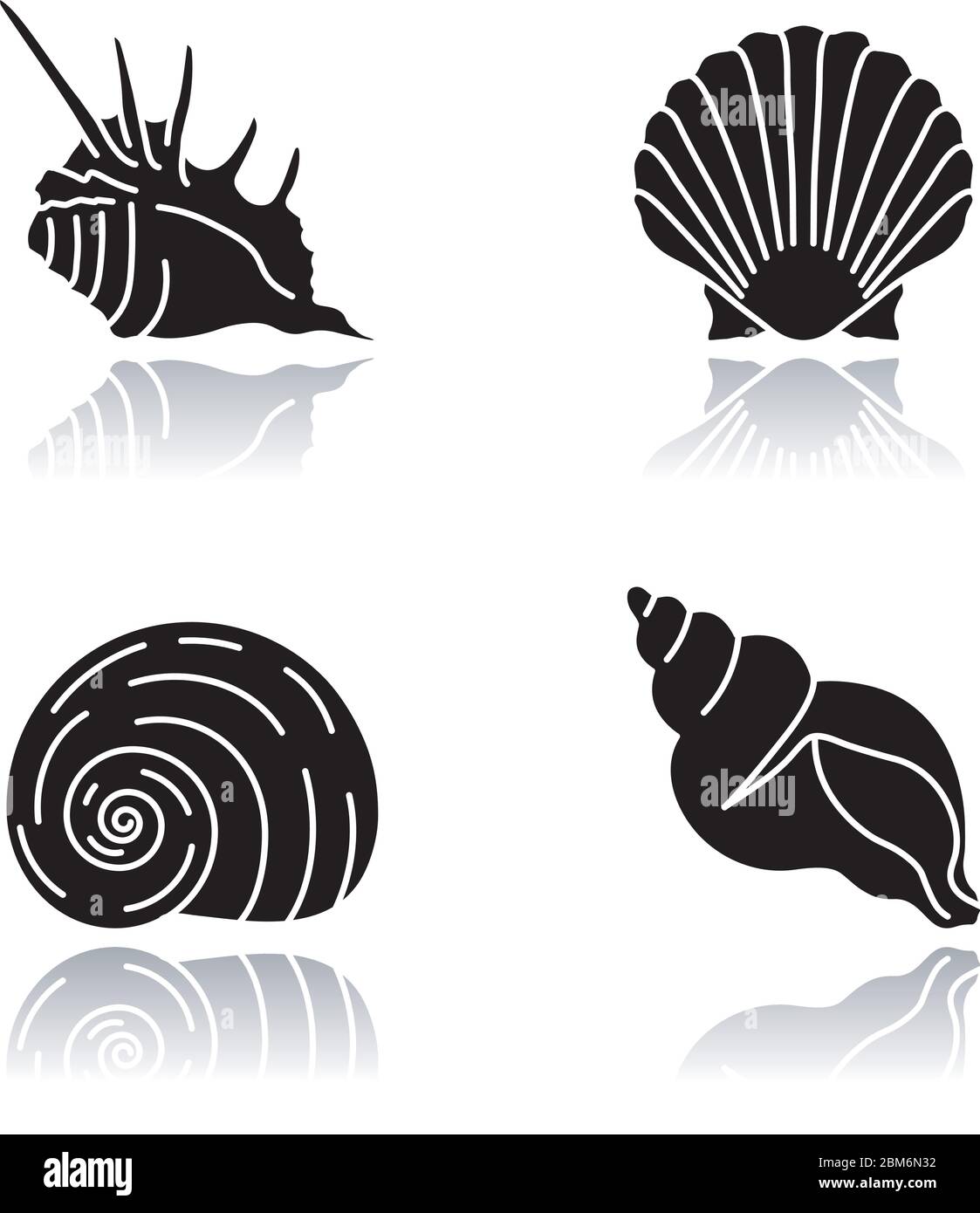 Triton shells Stock Vector Images - Alamy