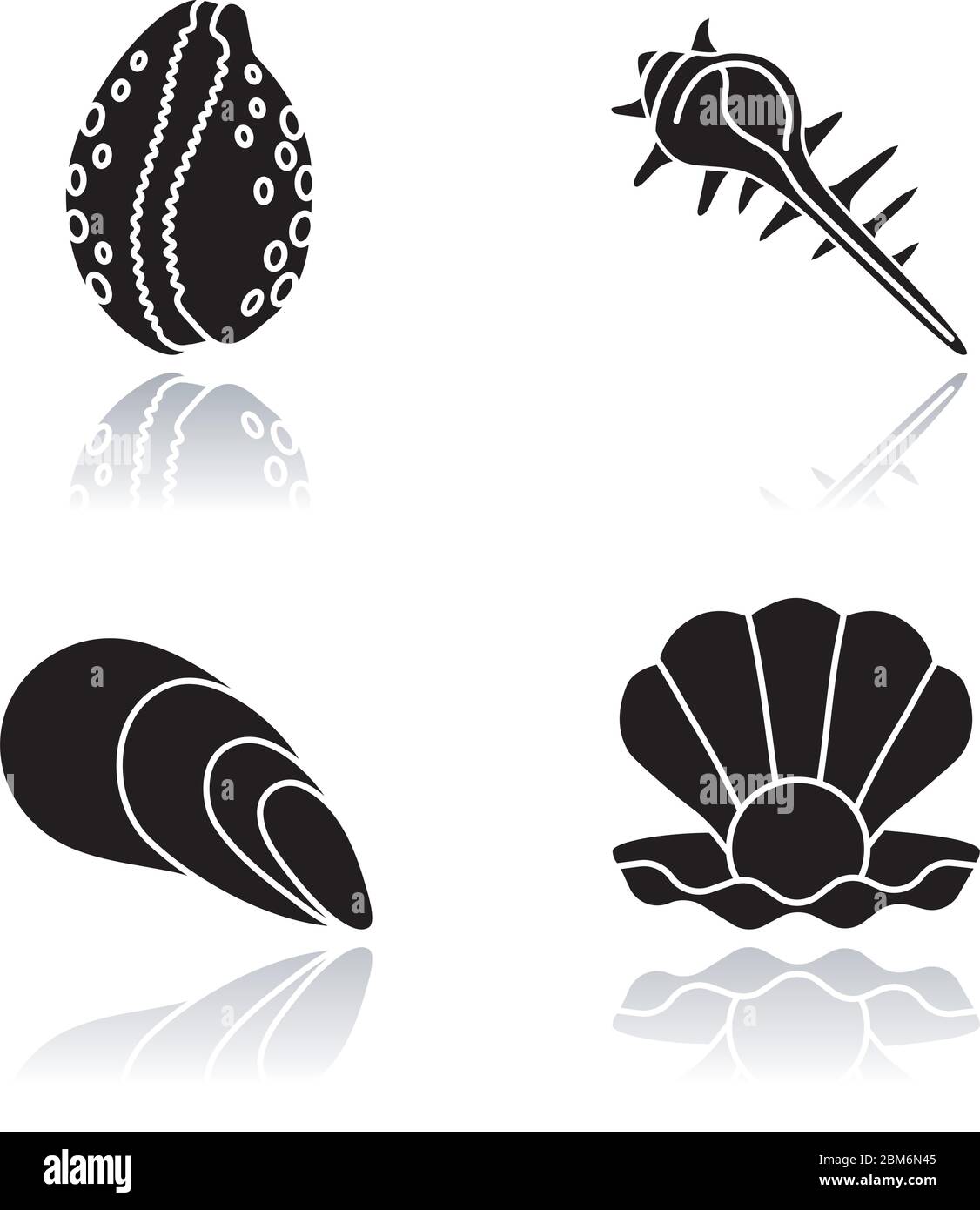 Conch clipart Black and White Stock Photos & Images - Alamy