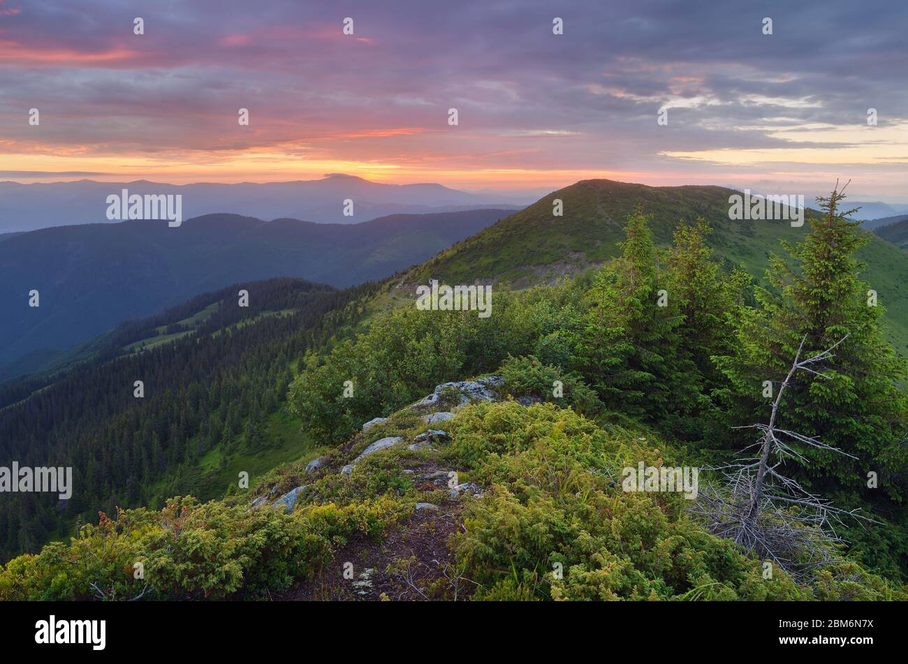 Mountain landscape. Summer morning with a beautiful sunrise Stock Photo ...
