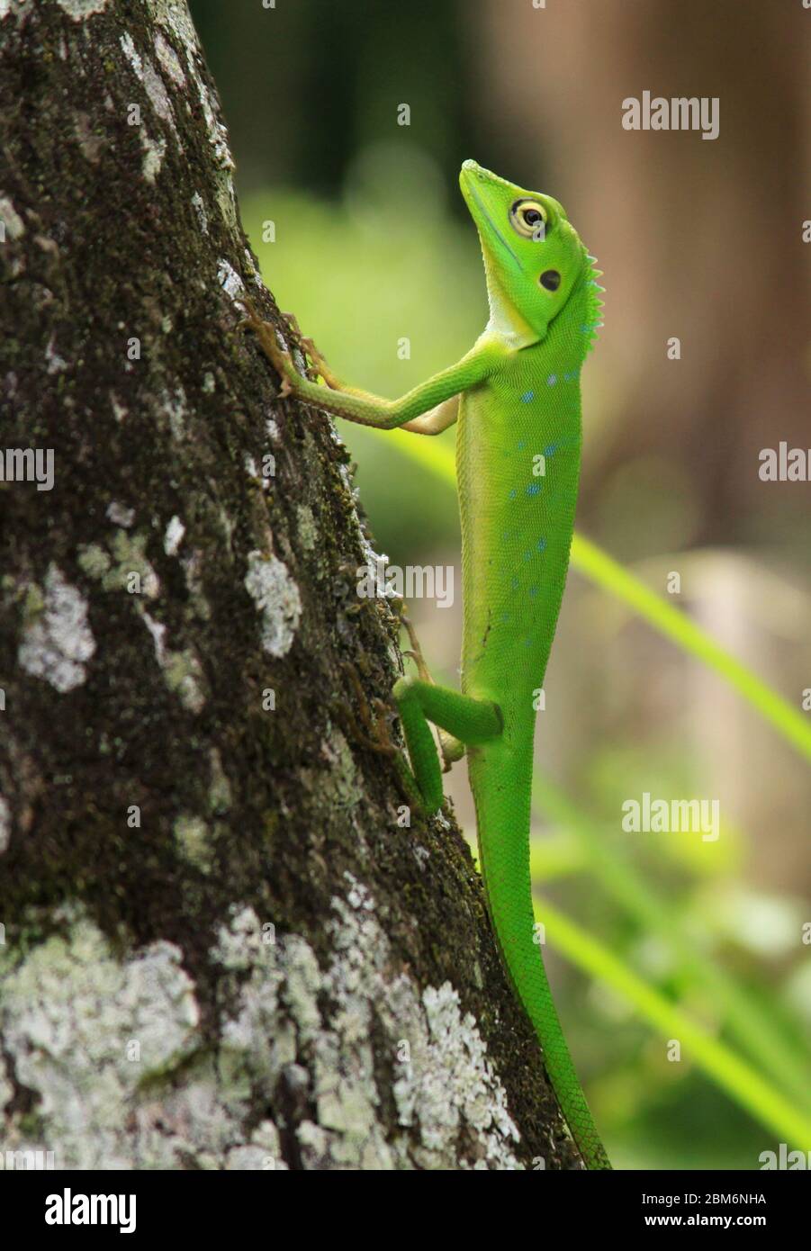 Fluorescent stick hi-res stock photography and images - Alamy