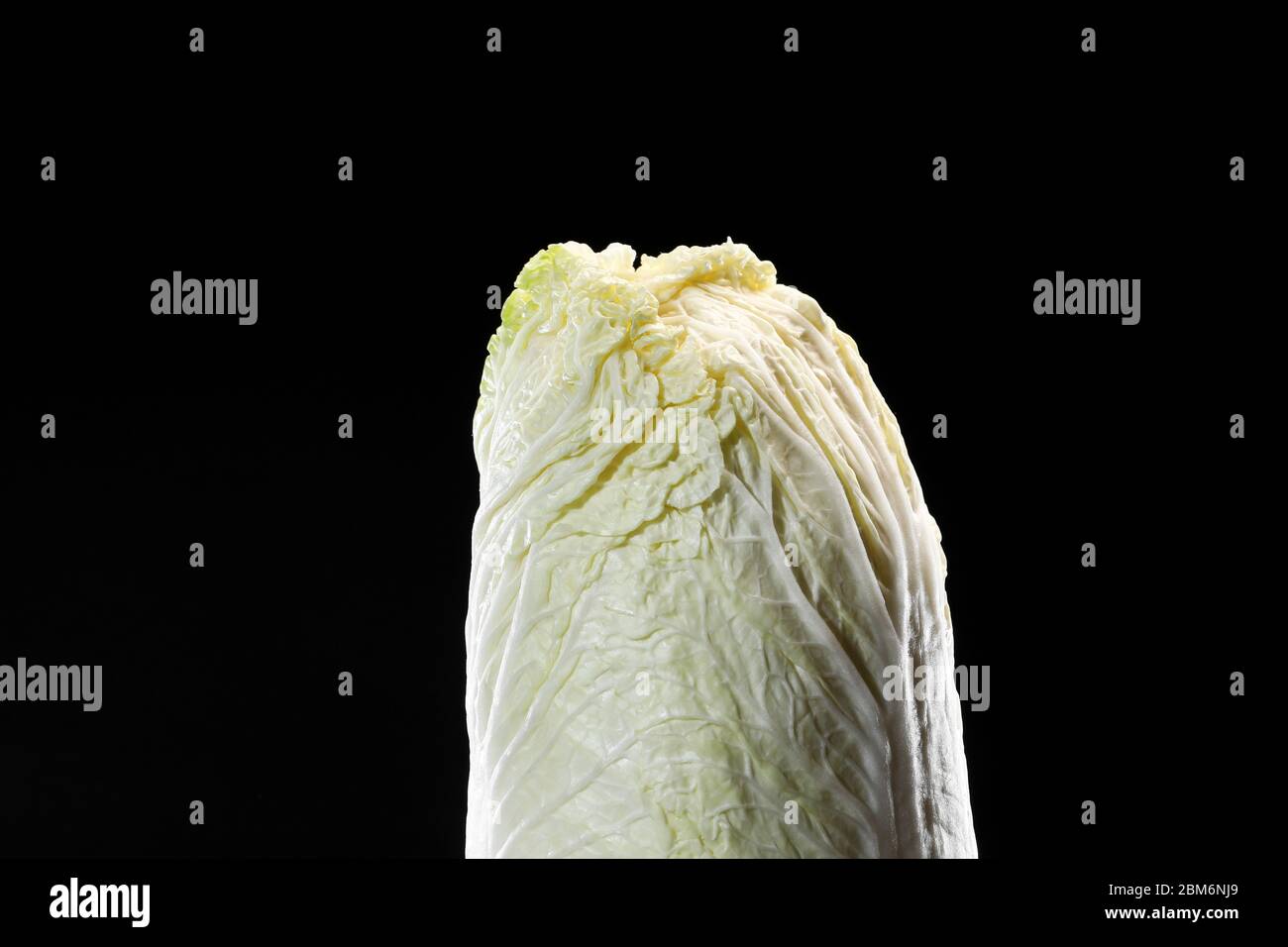 Fresh chinese cabbage head on black background. Vegan food lifestyle ...