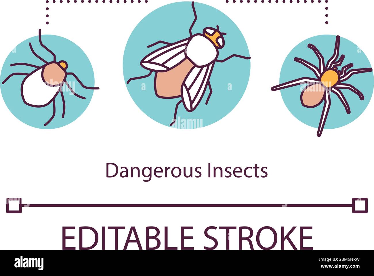 Dangerous insects Cut Out Stock Images & Pictures - Alamy