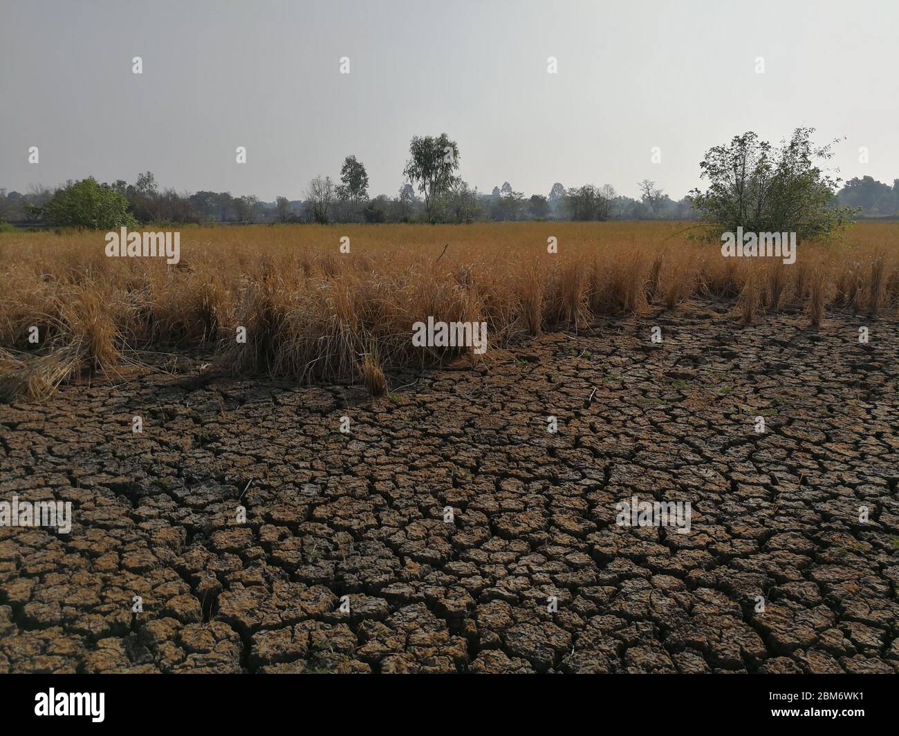 dry cracked ground earth Stock Photo - Alamy