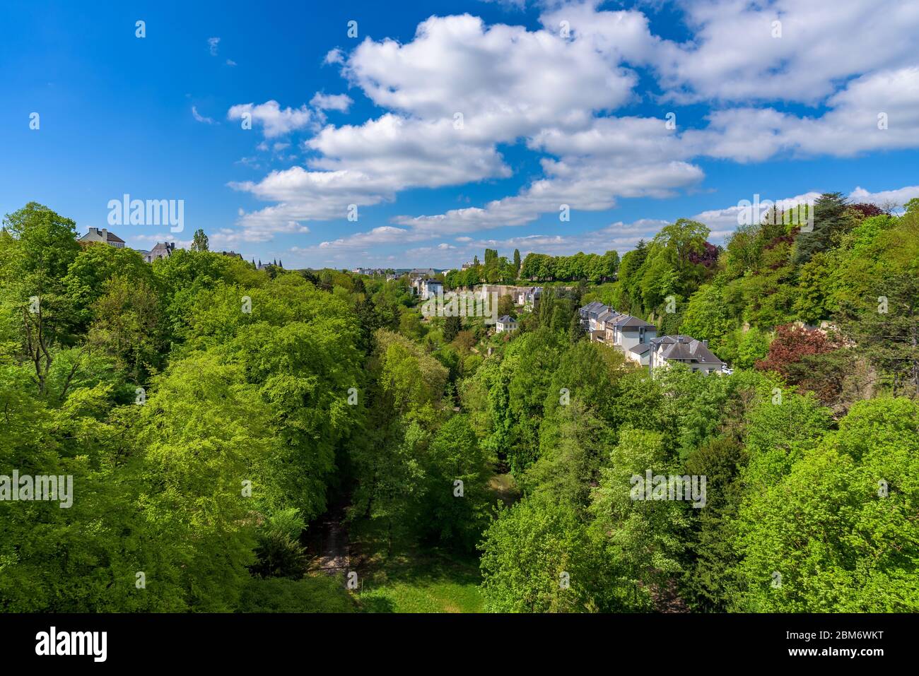 Luxembourg City, a capital immersed in nature, surrounded by green ...