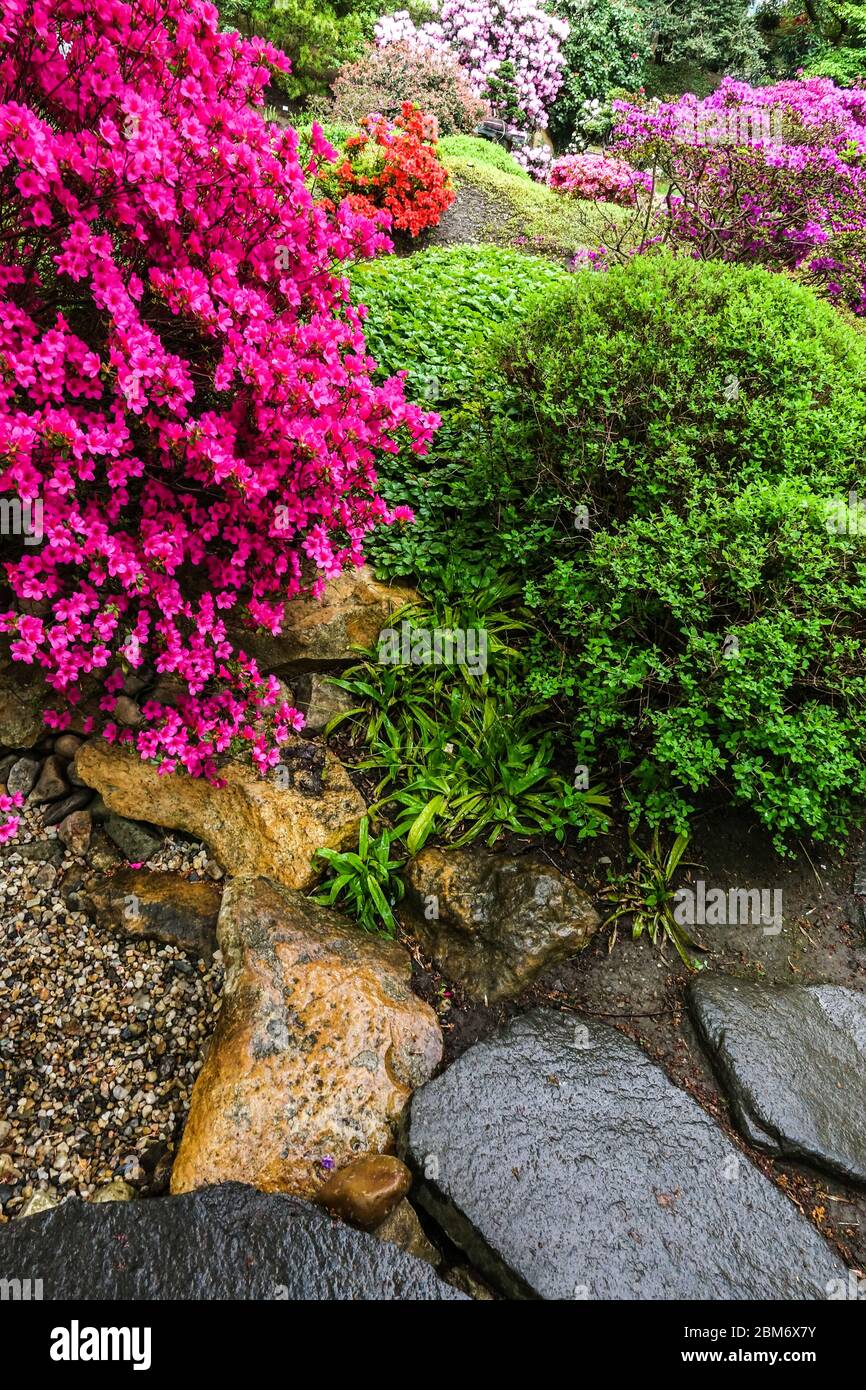 Flowers stones in japanese hi-res stock photography and images - Alamy