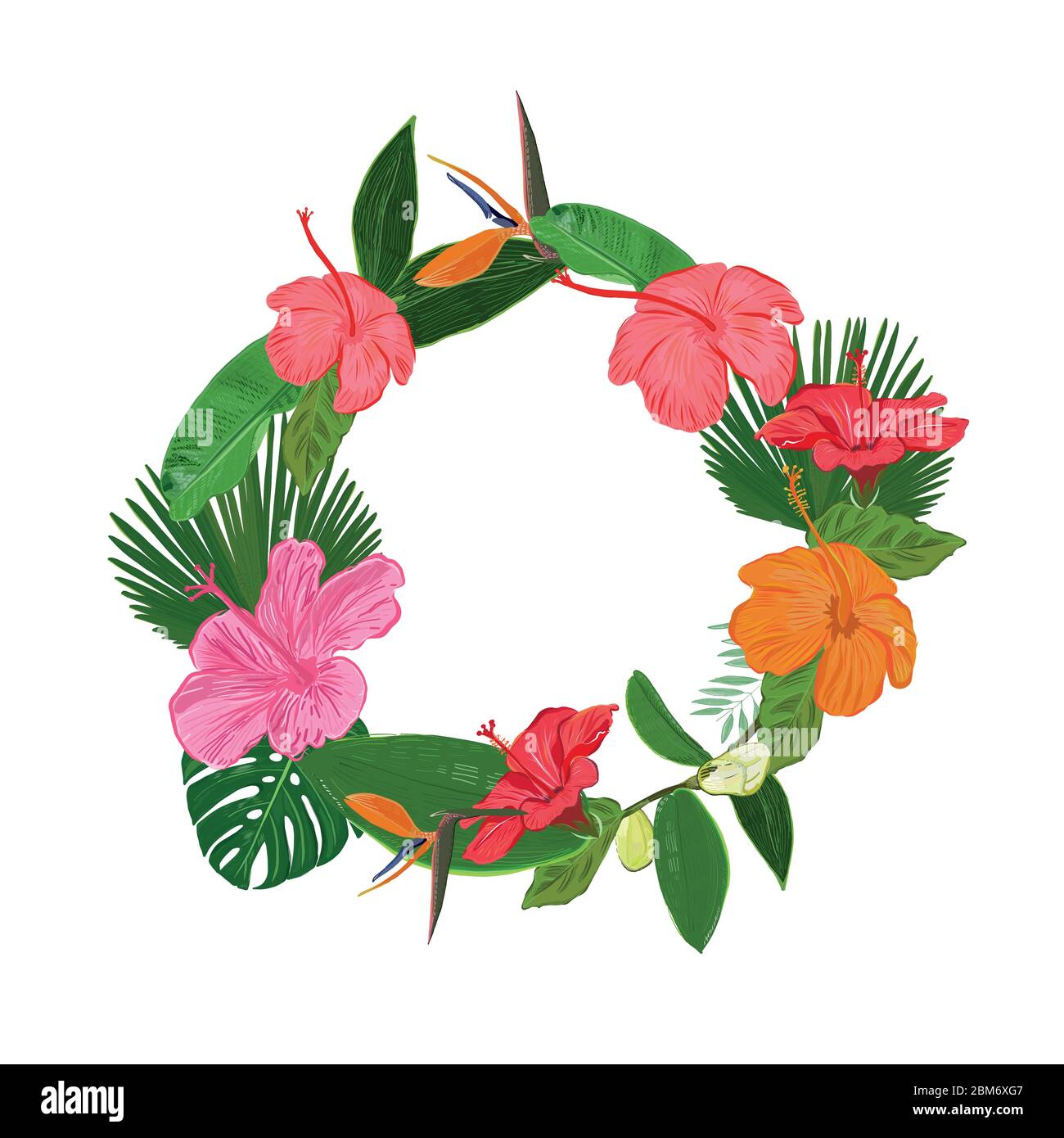 Hibiscus flower, heaven bird bouquet circle frame. Botanical design ...